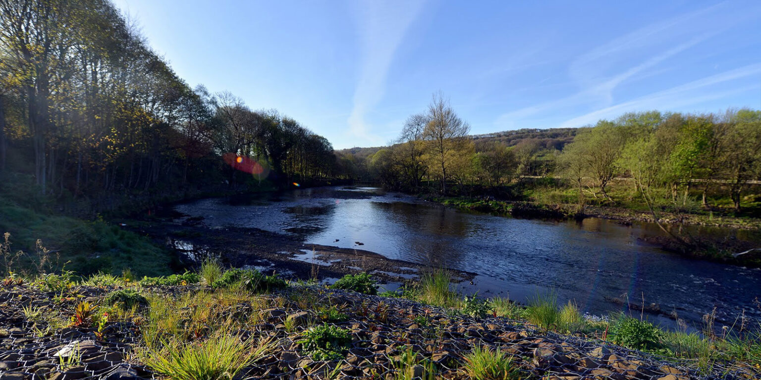 Halifax infrastructure and biodiversity | Genr8